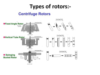 prvnppt-141230053156-conversion-gate02.pdf