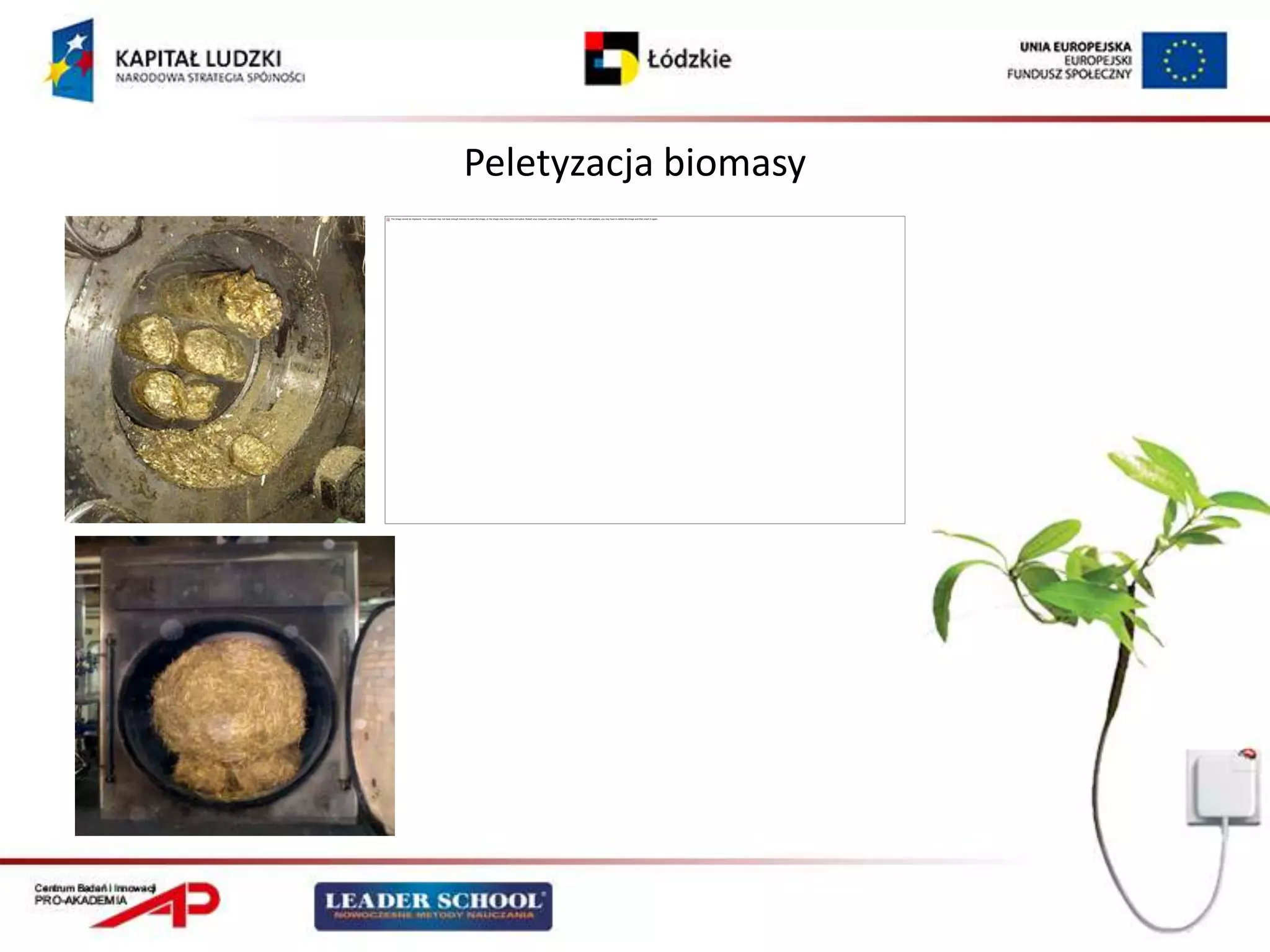 Przetwarzanie biomasy szymon szufa | PPTX