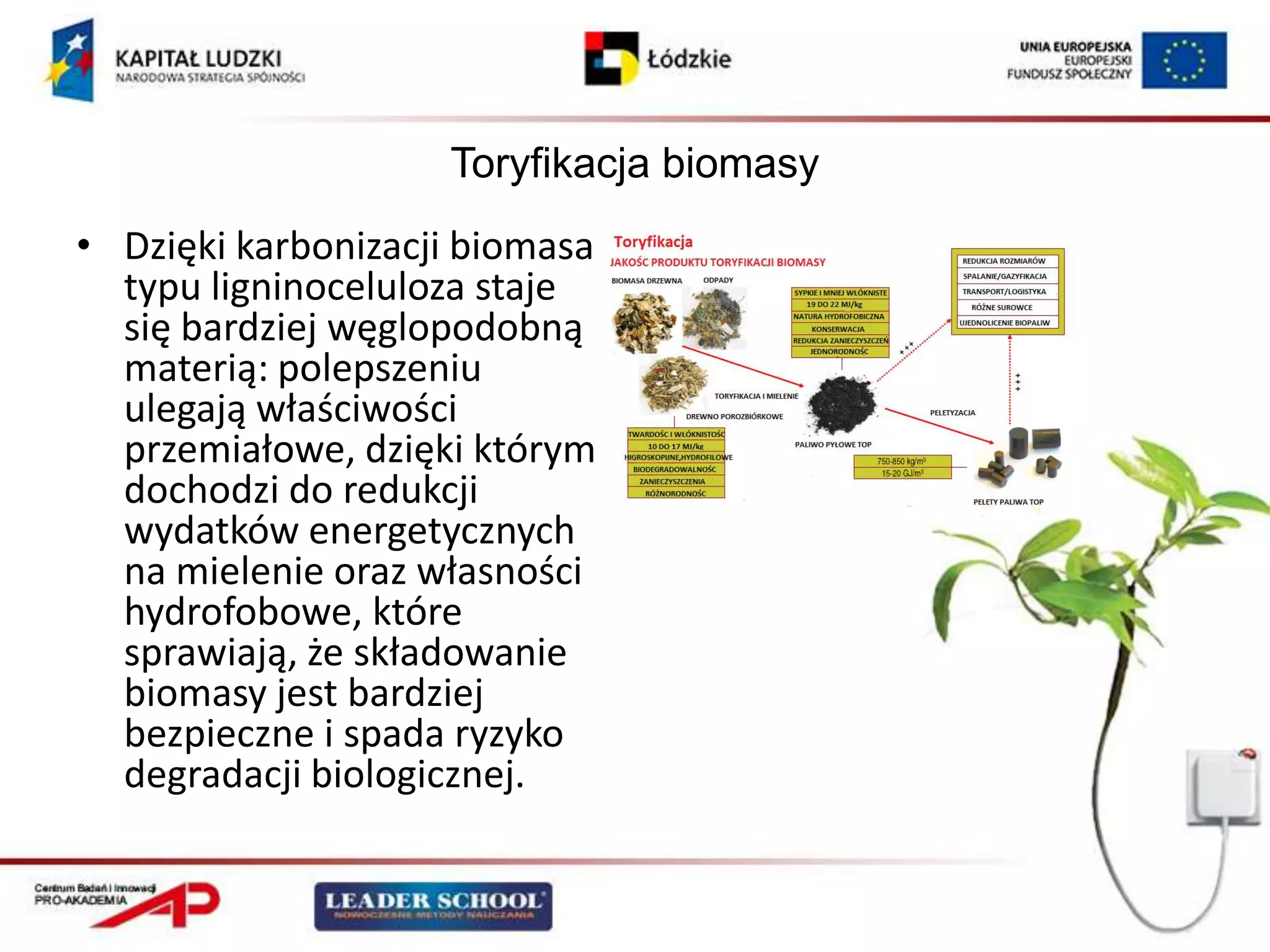 Przetwarzanie biomasy szymon szufa | PPTX