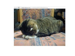 PS-journal-flap-monitor | PPT