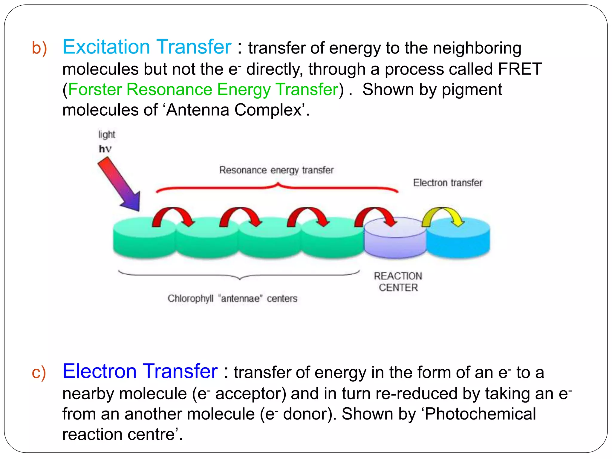 Light reaction of Photosynthesis | PPTX