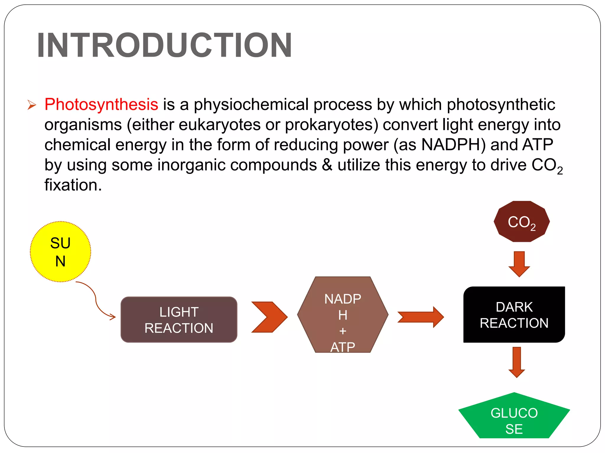 Light reaction of Photosynthesis | PPTX