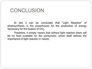 Light reaction of Photosynthesis | PPTX