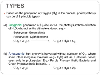 Light reaction of Photosynthesis | PPTX
