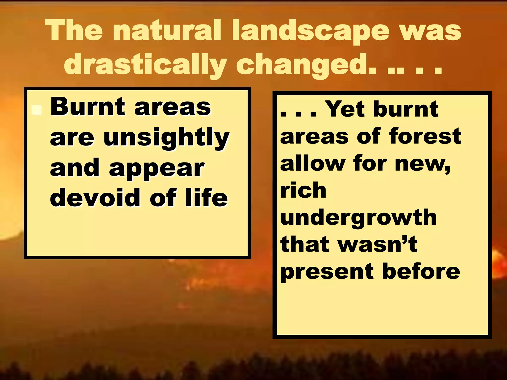 PS1 Powerpoint | PPT