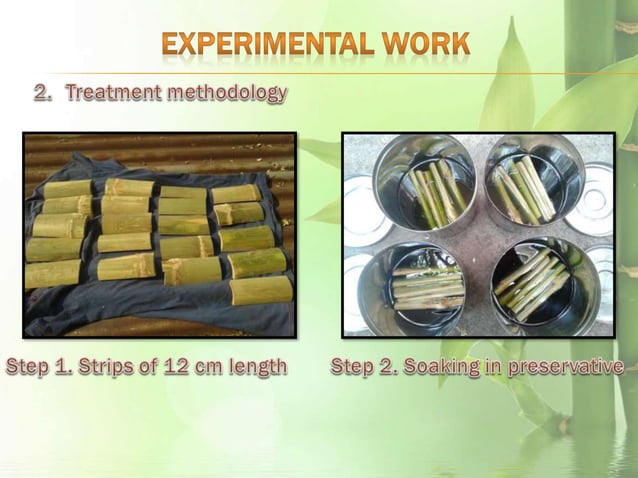 Bamboo Preservation | PPT