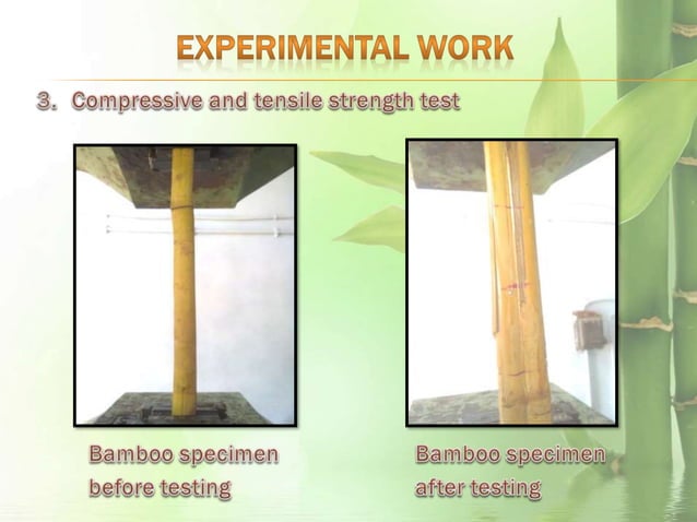 Bamboo Preservation | PPT