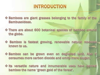 Bamboo Preservation | PPT