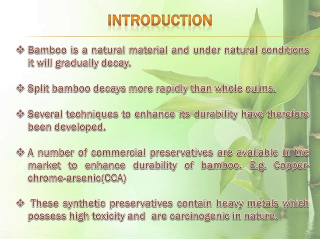 Bamboo Preservation | PPT