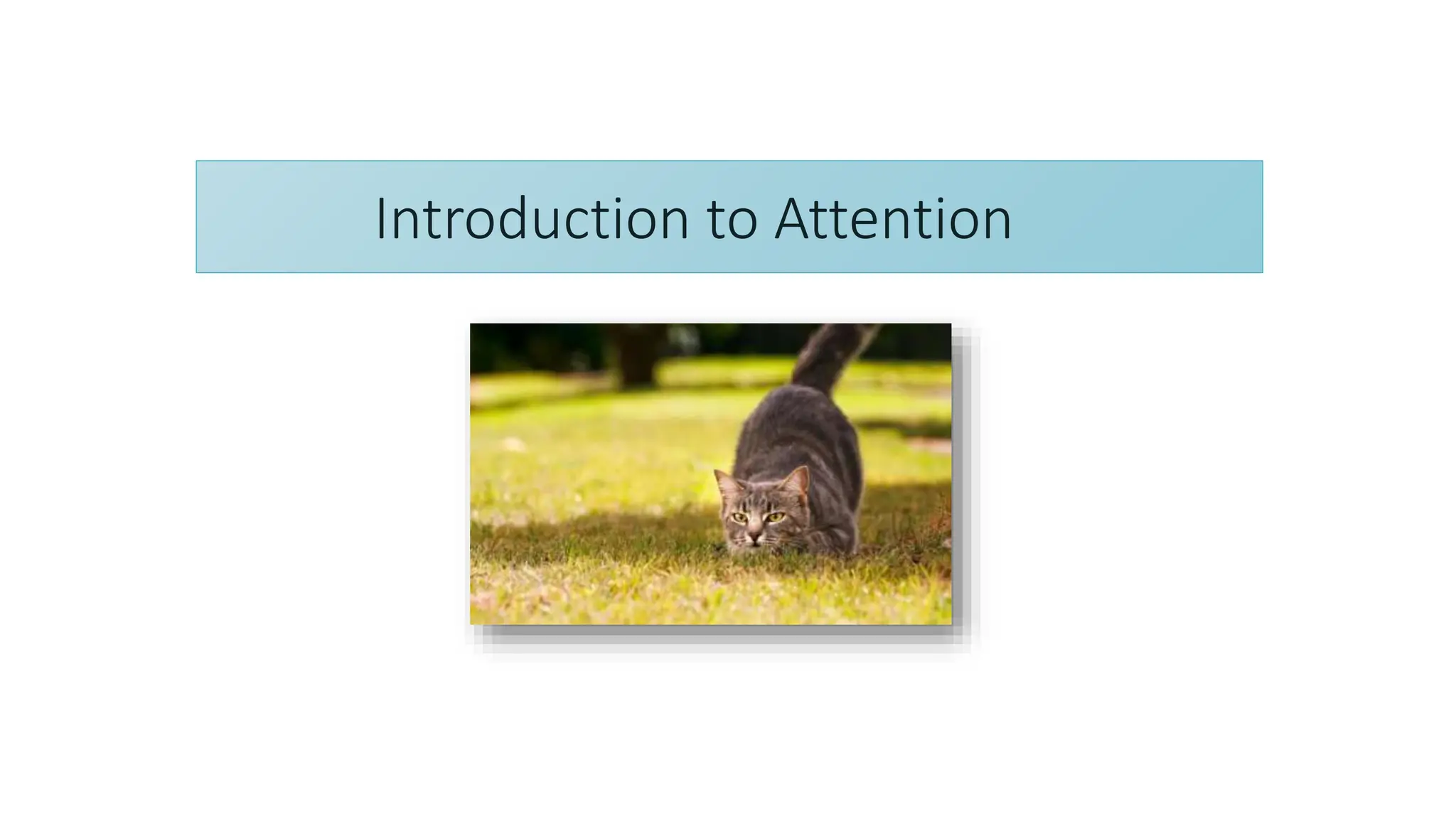 PS3103 Attention Lecture 3 (1).pptx