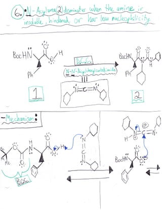 Embryonic Hedgehog Protein and Intein/Extein Splicing | PDF