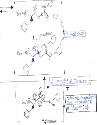 Embryonic Hedgehog Protein and Intein/Extein Splicing | PDF
