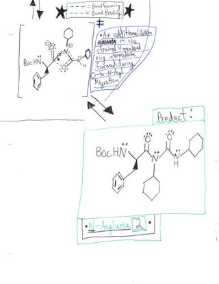 Embryonic Hedgehog Protein and Intein/Extein Splicing | PDF