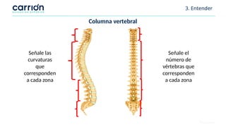 PSA02_FIS_II_Anatomia_del_Aparato_Locomotor.pptx