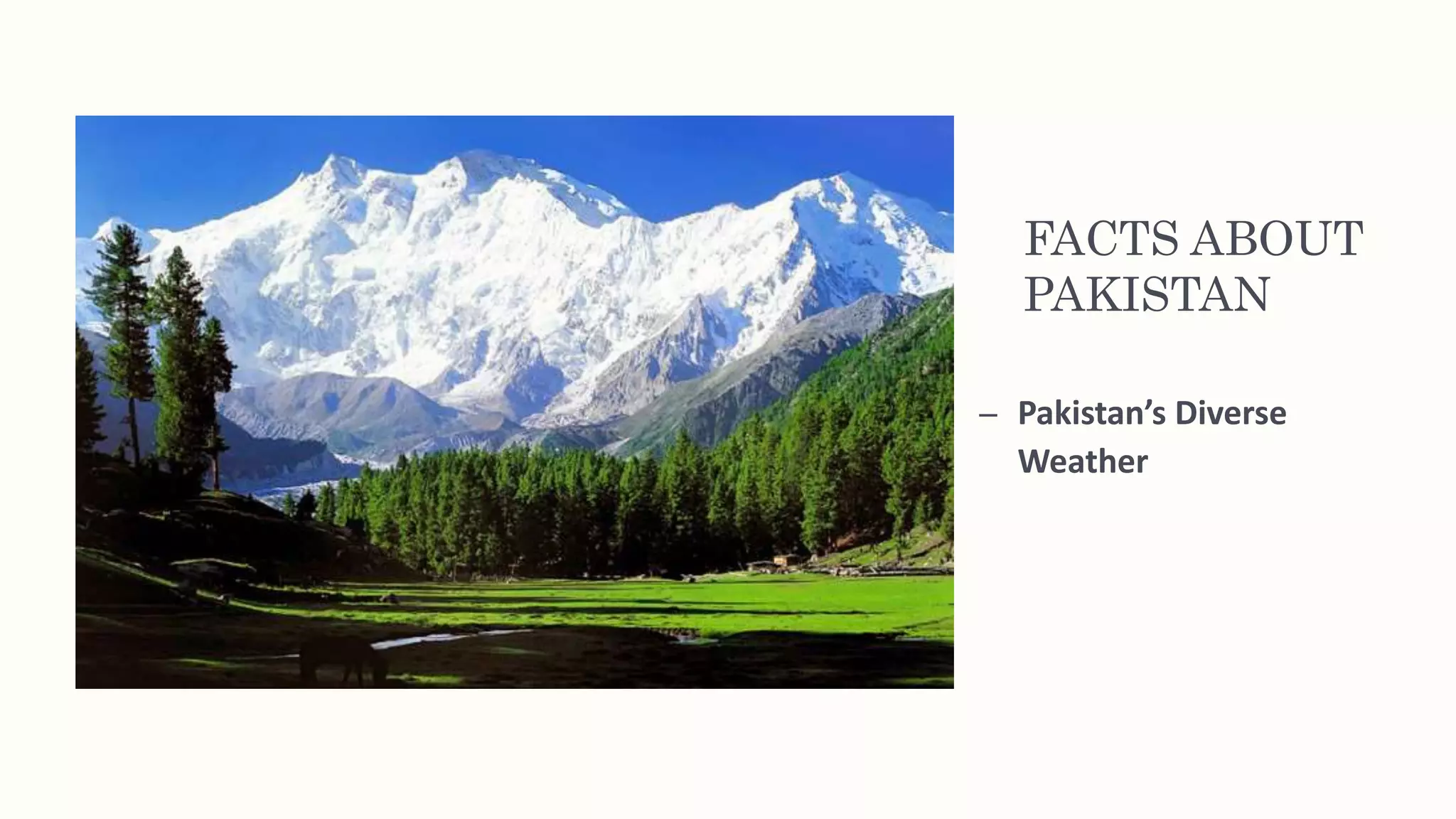 Important Facts About Pakistan | PPTX
