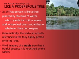 Psalm 1 devotion | PPTX