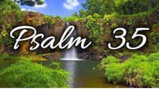 Psalm 35 | PPT