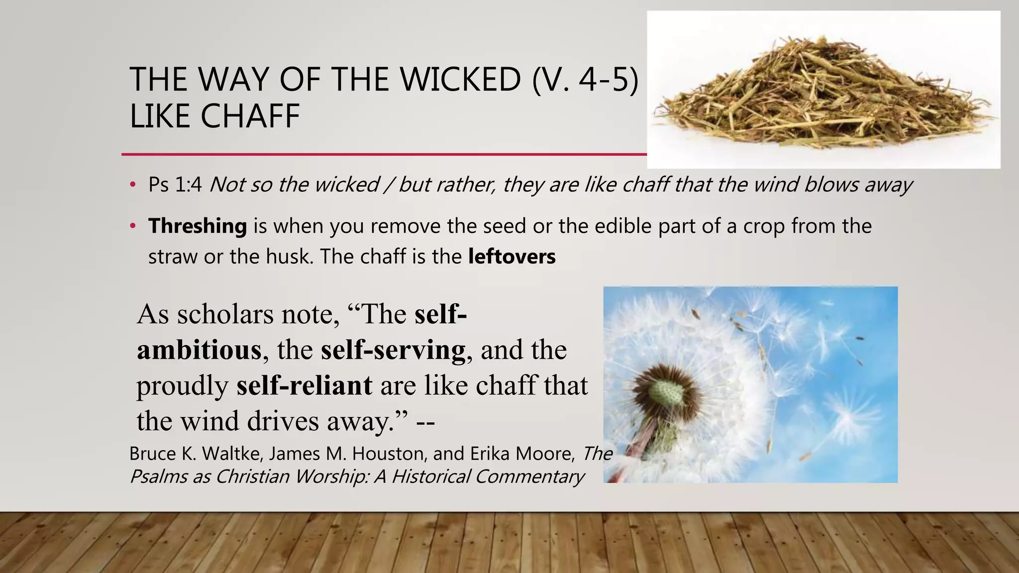 Psalm 1 Bible Study | Life: Use Only As Directed | Danny Scotton Jr ...