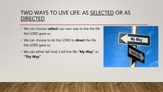 Psalm 1 Bible Study | Life: Use Only As Directed | Danny Scotton Jr ...
