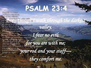 Psalm 23:4 Kjv