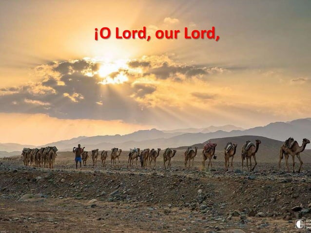 Psalm 8 | PPT