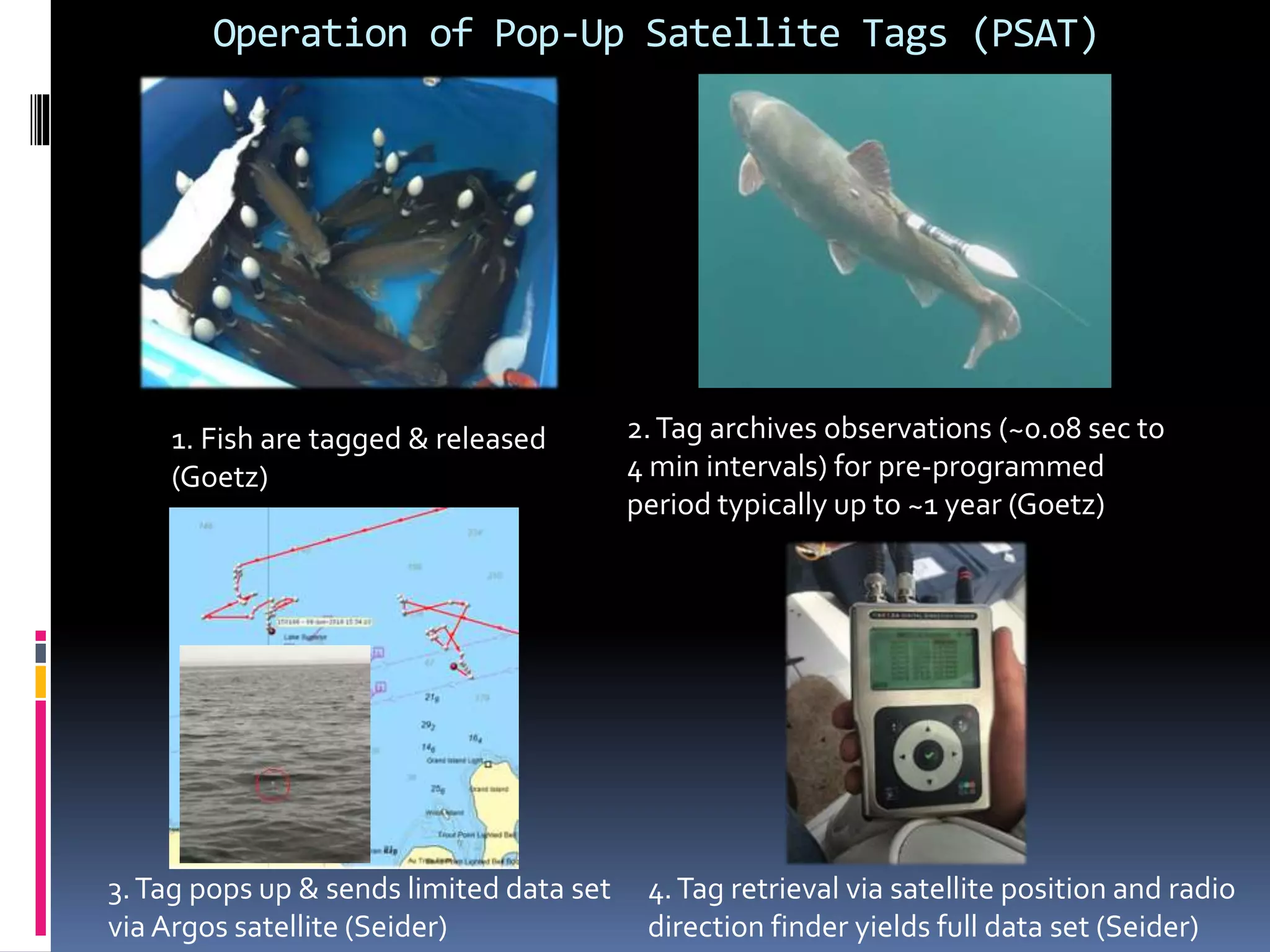 OPPURTUNITIES AND LIMITATIONS FOR POP-UP SATELLITE TAGS IN FRESH WATER ...