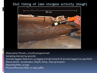 OPPURTUNITIES AND LIMITATIONS FOR POP-UP SATELLITE TAGS IN FRESH WATER ...