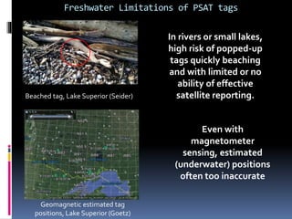 OPPURTUNITIES AND LIMITATIONS FOR POP-UP SATELLITE TAGS IN FRESH WATER ...