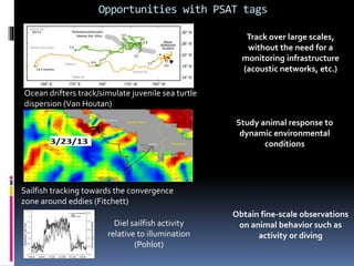 OPPURTUNITIES AND LIMITATIONS FOR POP-UP SATELLITE TAGS IN FRESH WATER ...