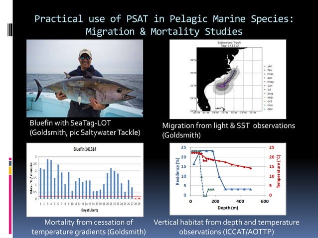 OPPURTUNITIES AND LIMITATIONS FOR POP-UP SATELLITE TAGS IN FRESH WATER ...
