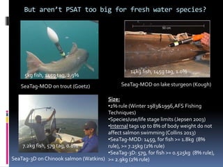 OPPURTUNITIES AND LIMITATIONS FOR POP-UP SATELLITE TAGS IN FRESH WATER ...