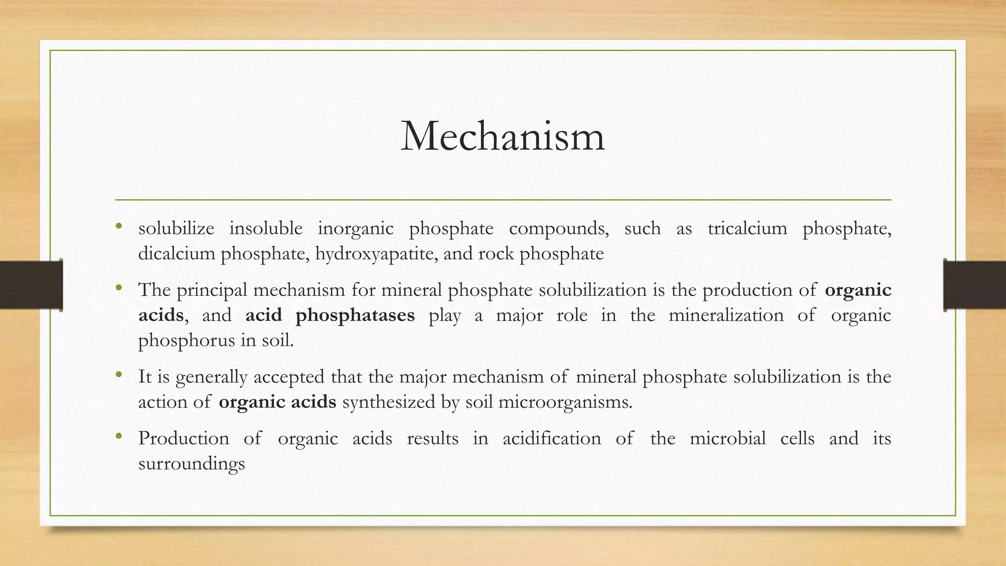Phosphate Solubilising bacteria - Mass cultivation | PPTX
