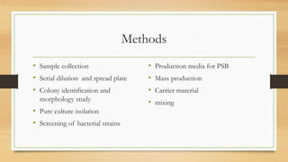 Phosphate Solubilising bacteria - Mass cultivation | PPTX
