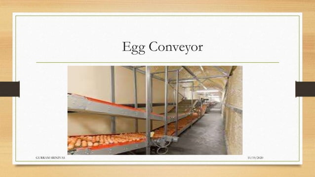 HANDLING, PROCESSING, PACKAGING, TRANSPORT & MARKETING OF EGGS | PPTX