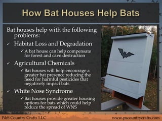 Bat Houses | PPT