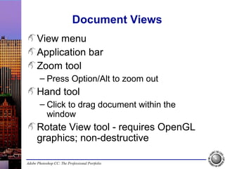 Pscc slides interface | PPT
