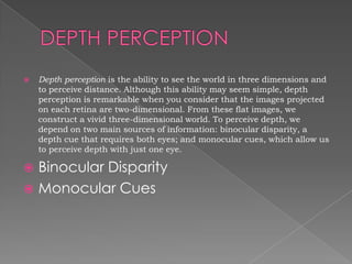 Depth Perception Psychology