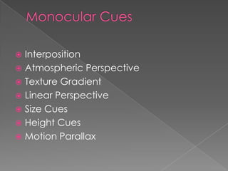 Monocular Cues Psychology