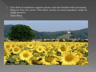 Texture Gradient Psychology Example