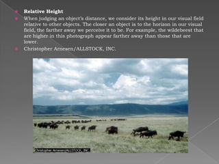 Relative Height Psychology Example