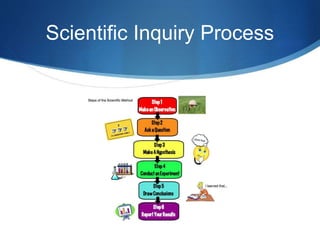 Pscyhology methodology pp | PPTX