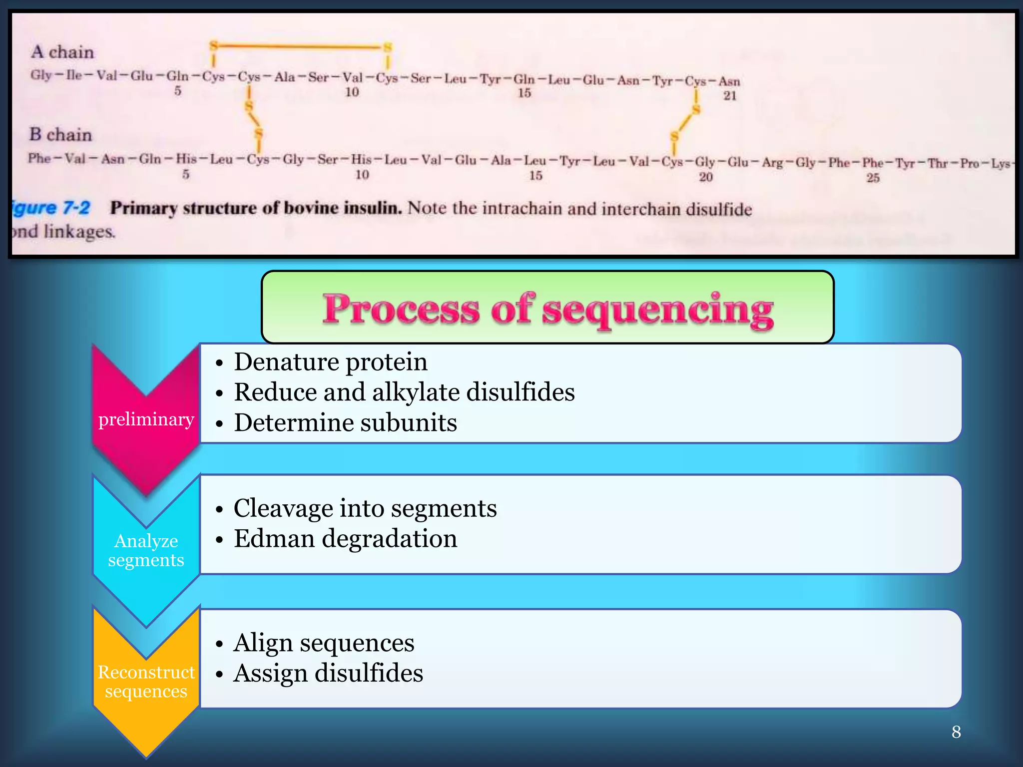 Protein sequence determinatiom | PPTX