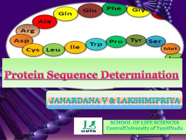 Protein Sequencing