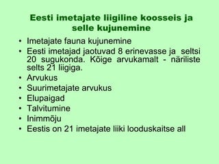 Eesti imetajad | PDF