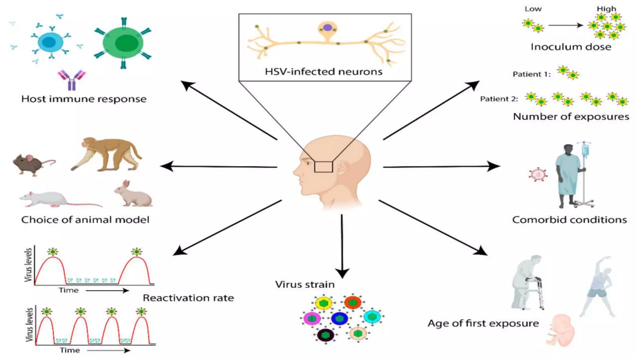 Pathogen safety data sheet | PPT