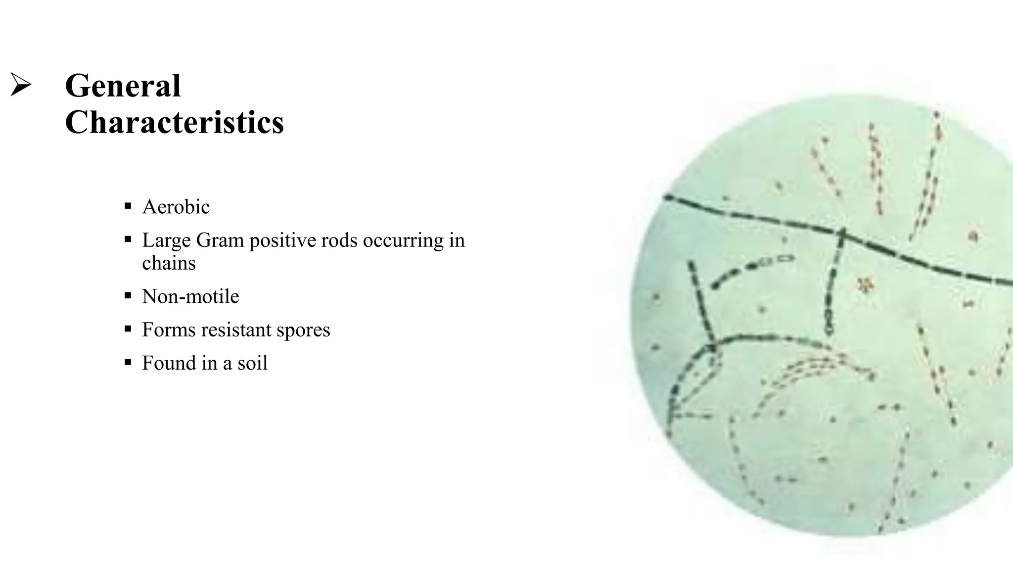 Pathogen safety data sheet | PPTX