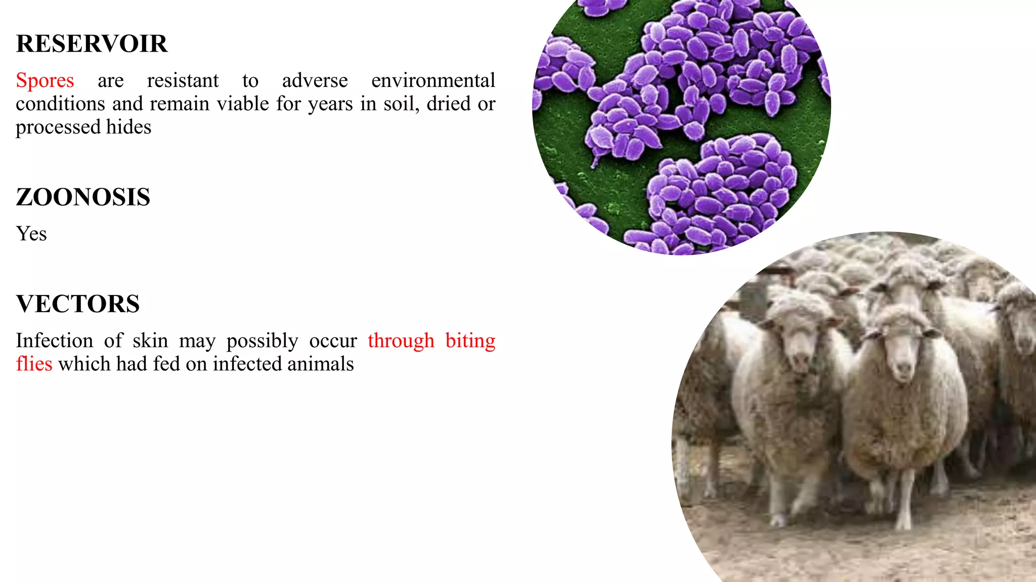 Pathogen safety data sheet | PPT | Free Download