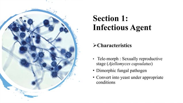 Pathogen safety data sheet | PPT