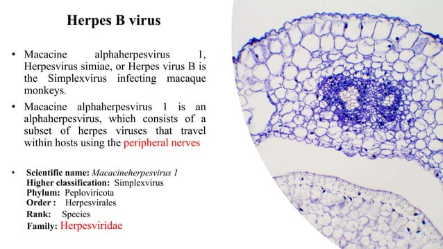 Pathogen safety data sheet | PPT