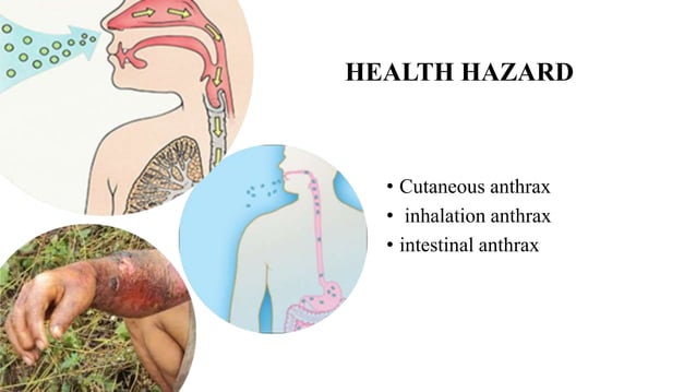 Pathogen safety data sheet | PPT